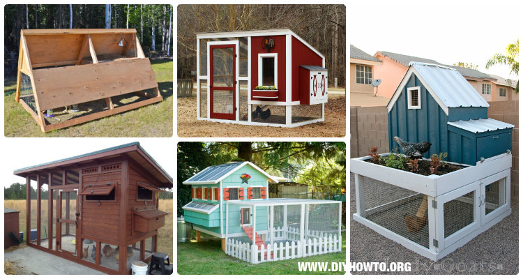 DIY Wood Chicken Coop Free Plans & Instructions